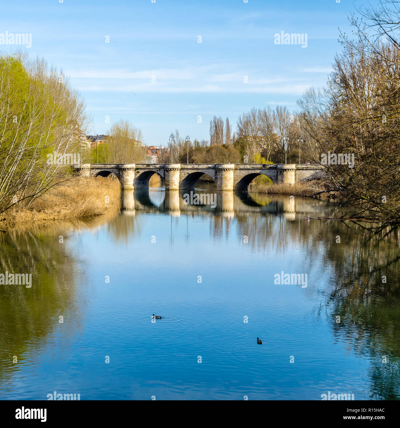 Medieval stone bridge over the Carrion River in Palencia (Castile and ...