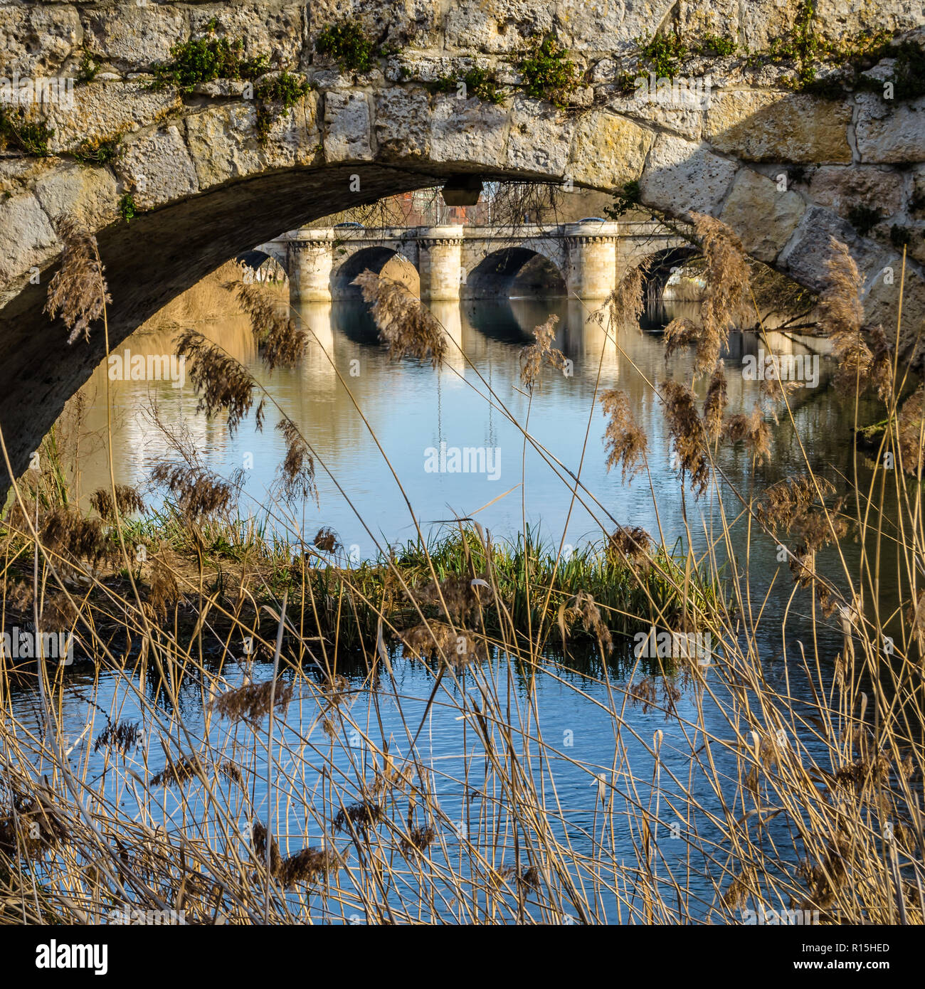 Medieval stone bridge over the Carrion River in Palencia (Castile and ...