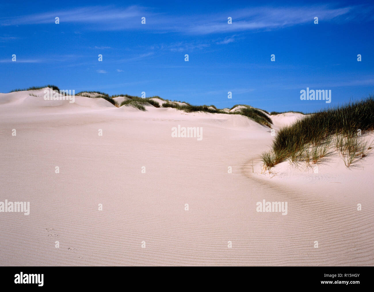 Denmark, Nordjylland, Rabjerg Sand Dunes, North West Coast. Stretch of ...