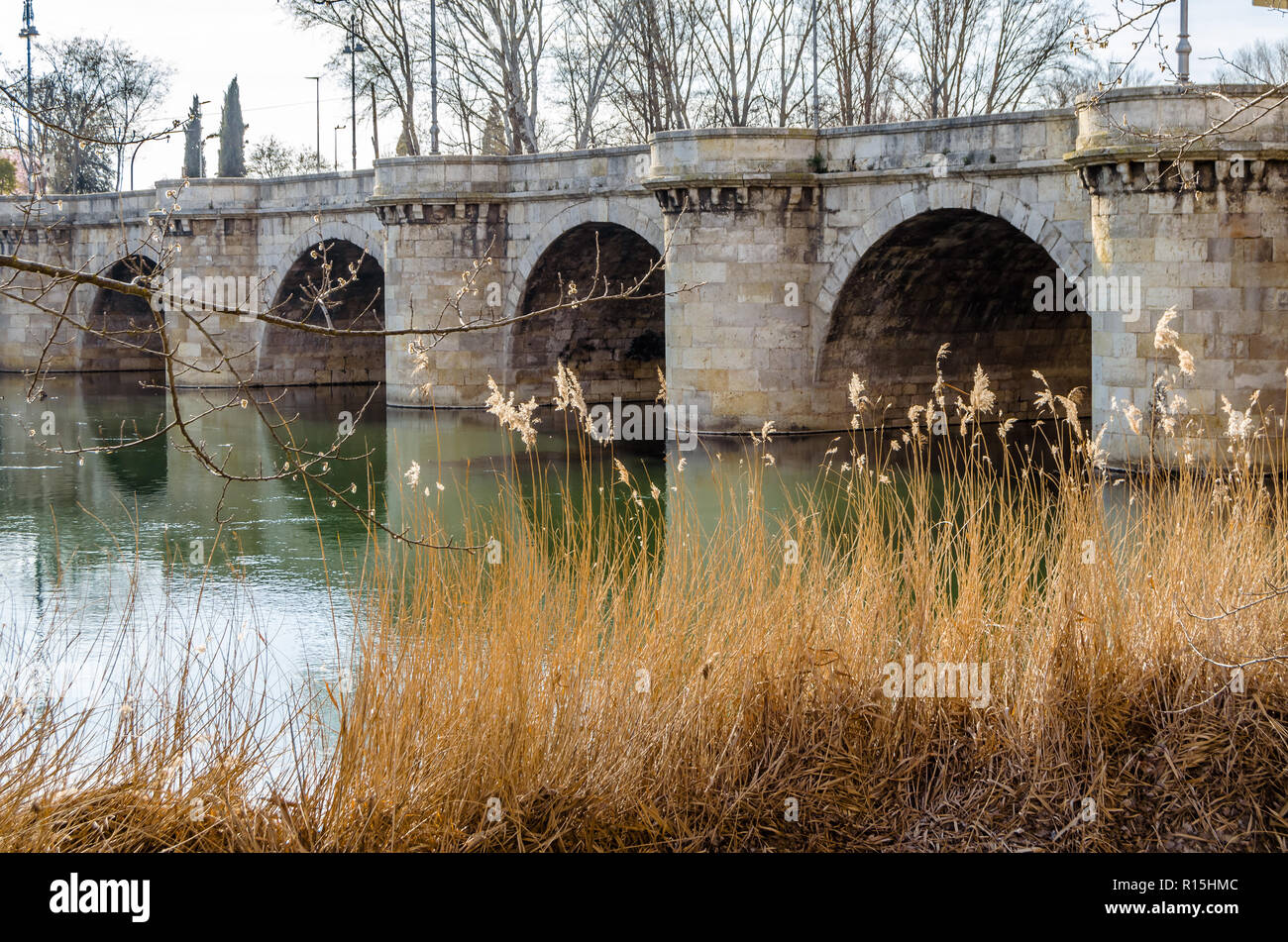 Medieval stone bridge over the Carrion River in Palencia (Castile and ...