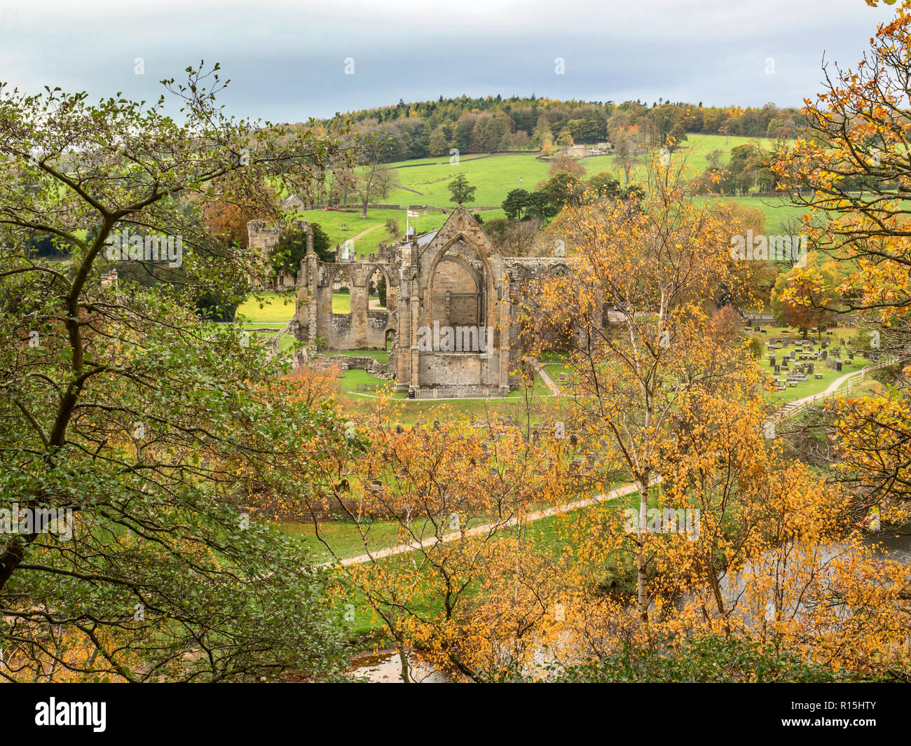 The ruins of Bolton Priory from a viewpoint across the River Wharfe in ...