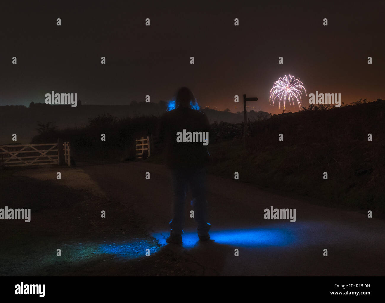 5th November 2018 Standing on Birkrigg Common watching the fireworks in ...