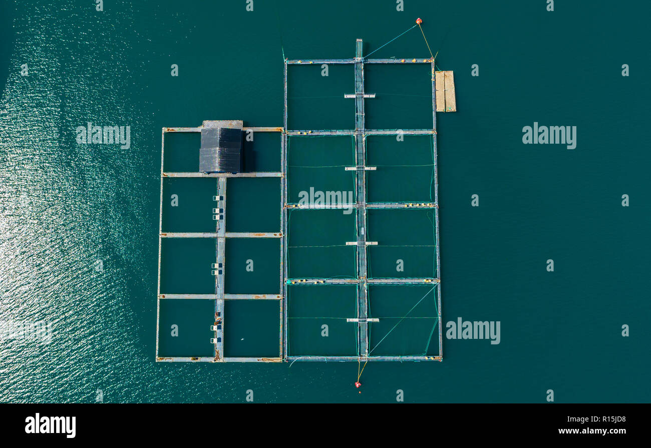Salmon fish farm in fjord. Olen, Norway Stock Photo - Alamy