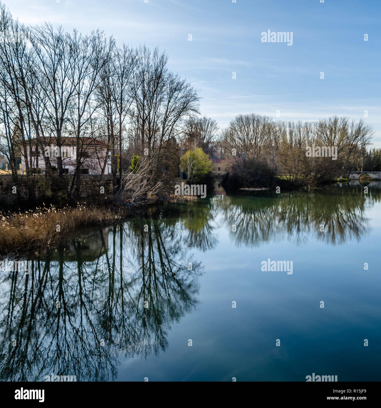 View of the Carrion river in the city of Palencia (Castile and Leon ...