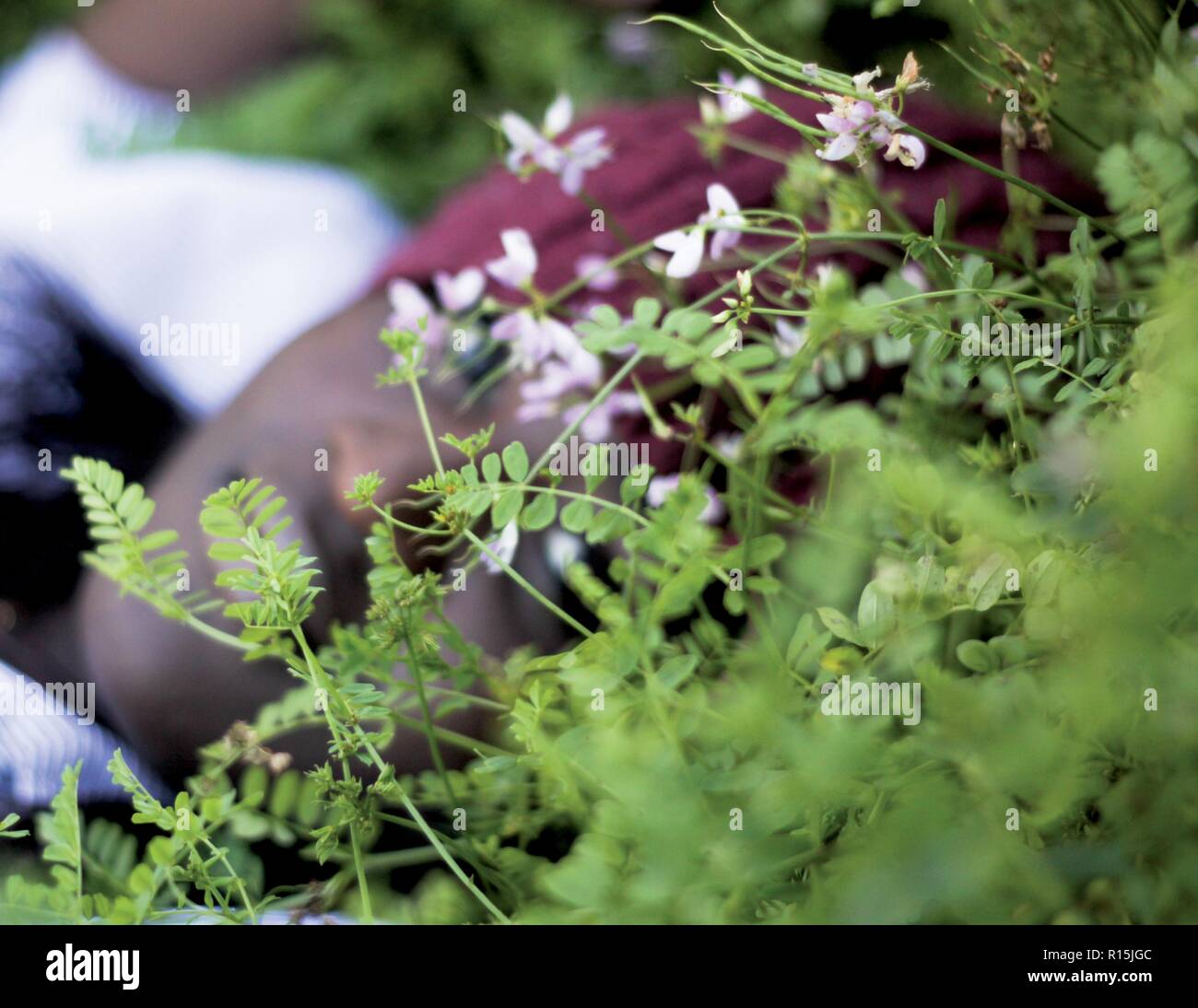 American African model poses for pictures in the nature Stock Photo - Alamy
