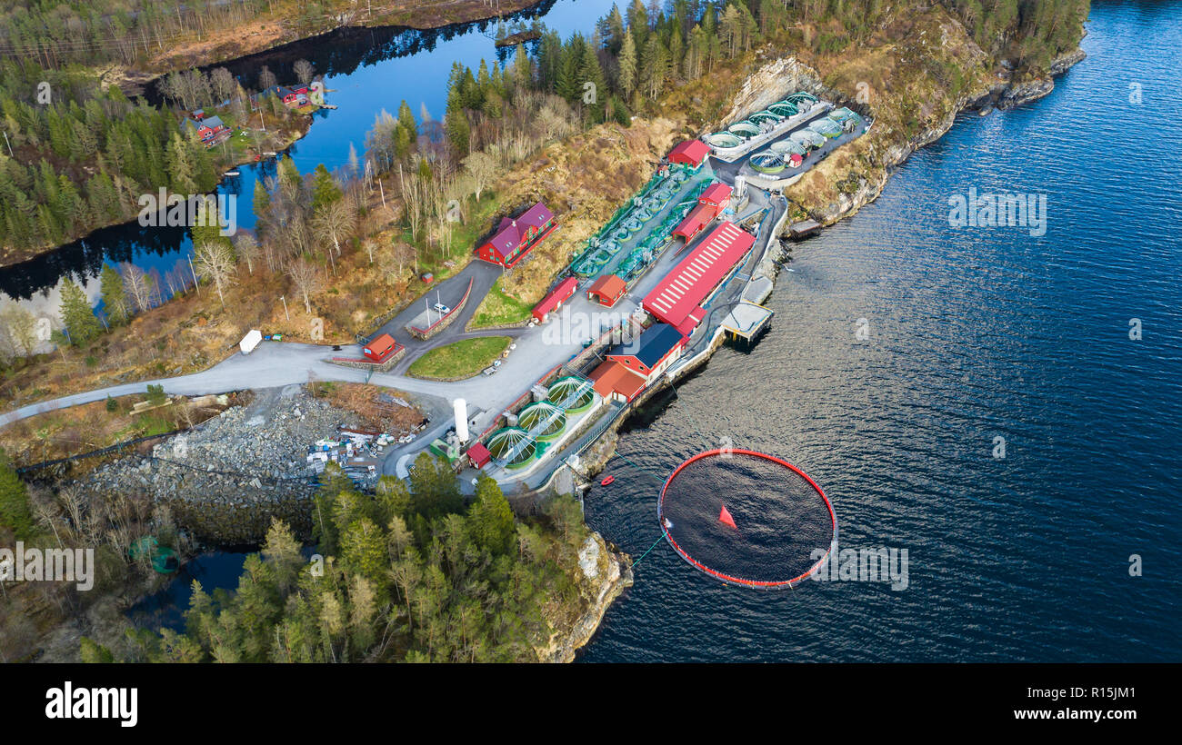 Salmon trap norway hi-res stock photography and images - Alamy