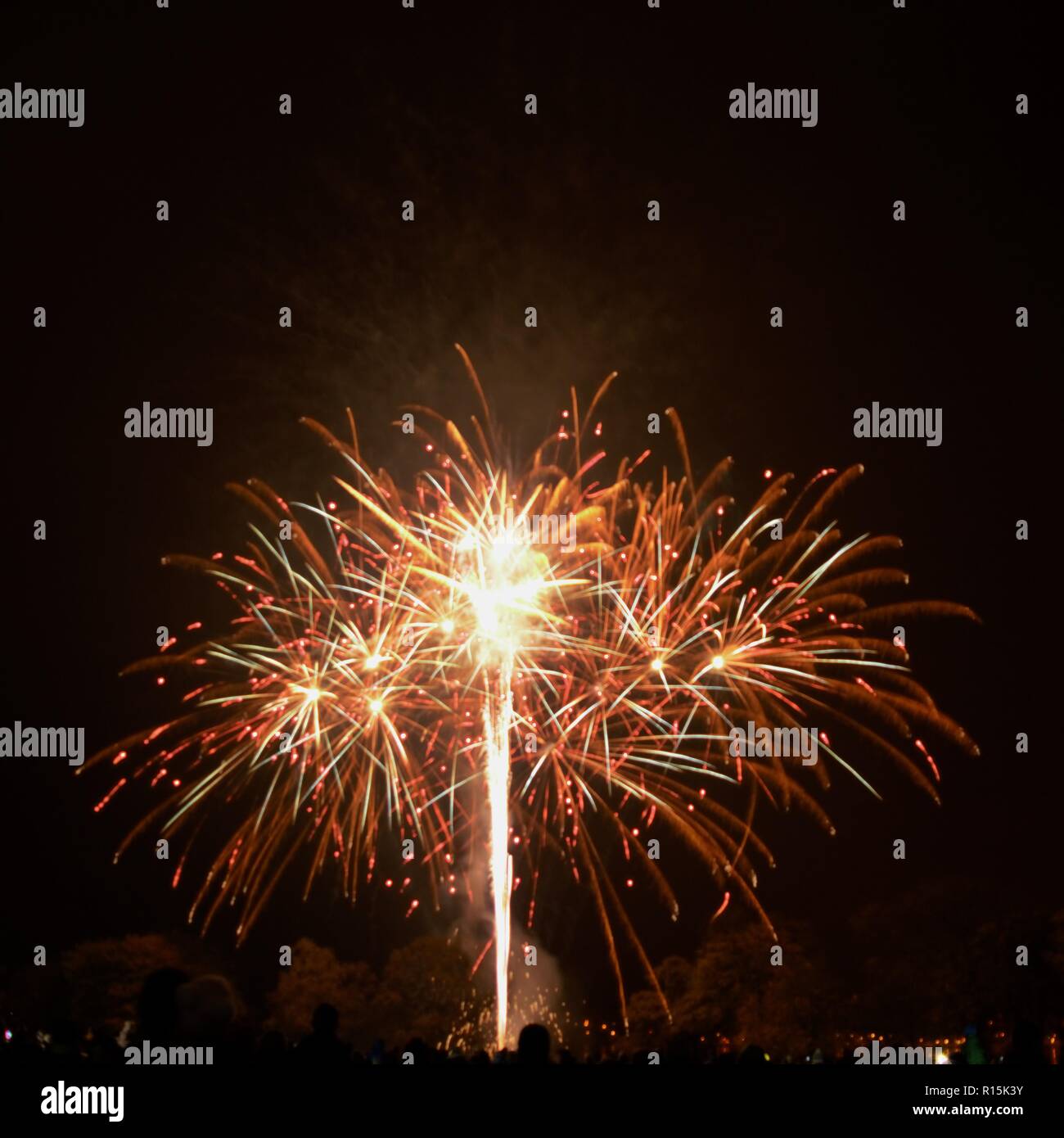 Fireworks in the sky Stock Photo - Alamy