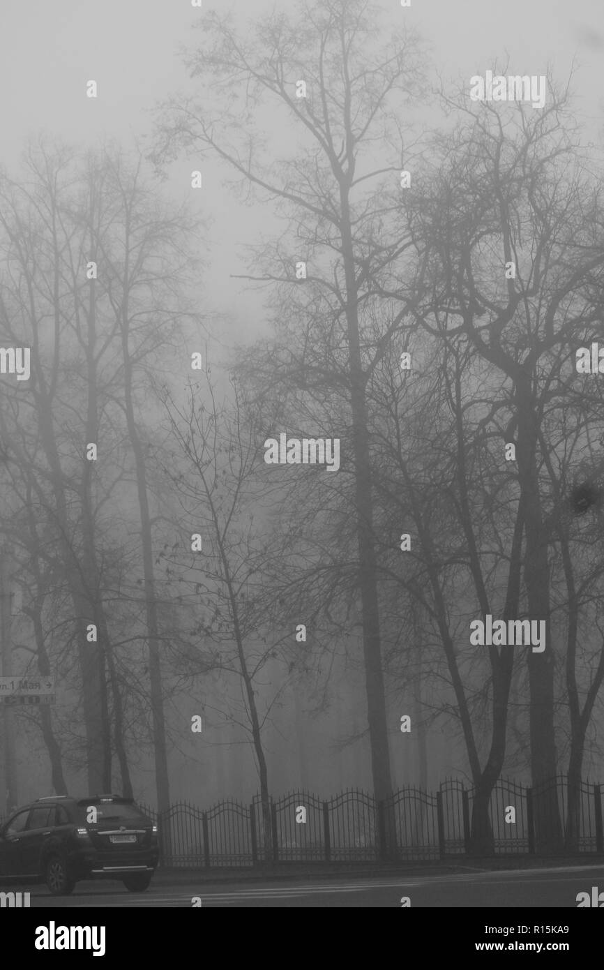 gray deep milky fog covered streets of the city in autumn cold morning ...