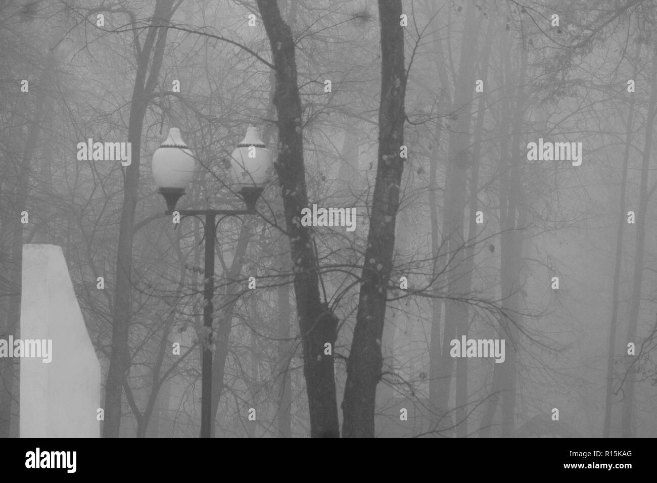 gray deep milky fog covered streets of the city in autumn cold morning ...