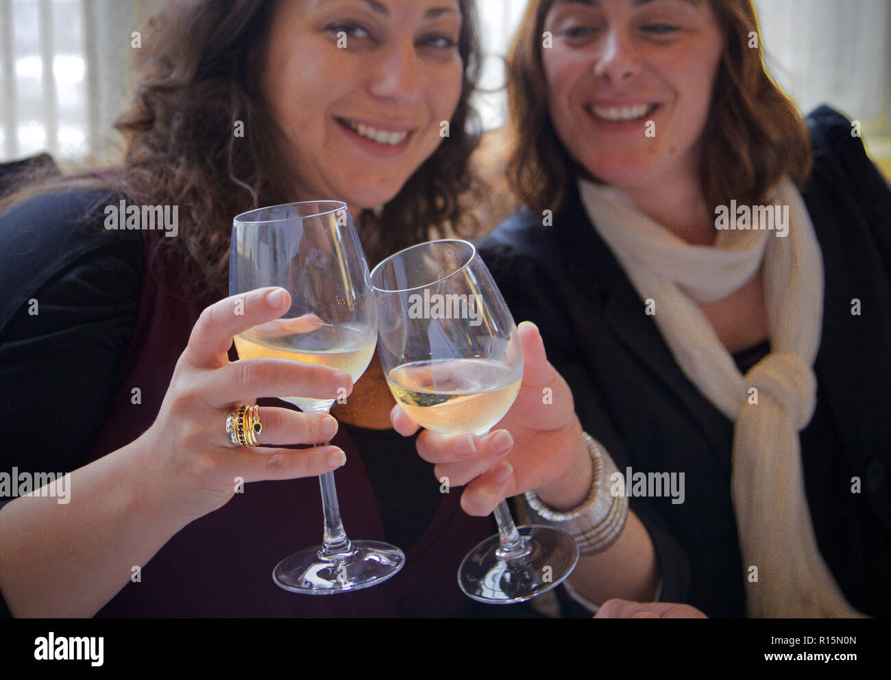 Happy women saying cheers with wine hi-res stock photography and images ...