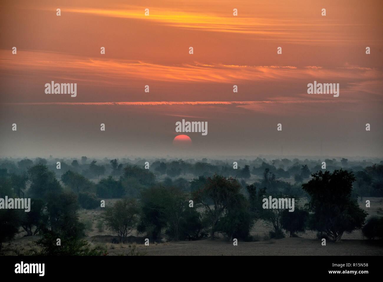 Indian trees landscape hi-res stock photography and images - Alamy