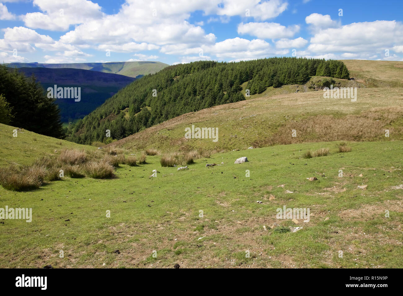 Hills with no trees hi-res stock photography and images - Alamy