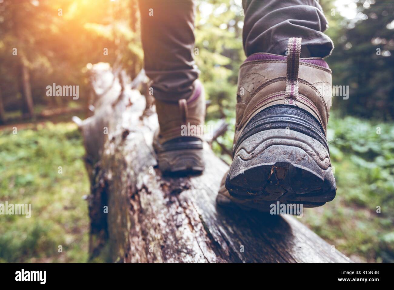 hiking boots close-up. girl tourist steps on a log Stock Photo - Alamy
