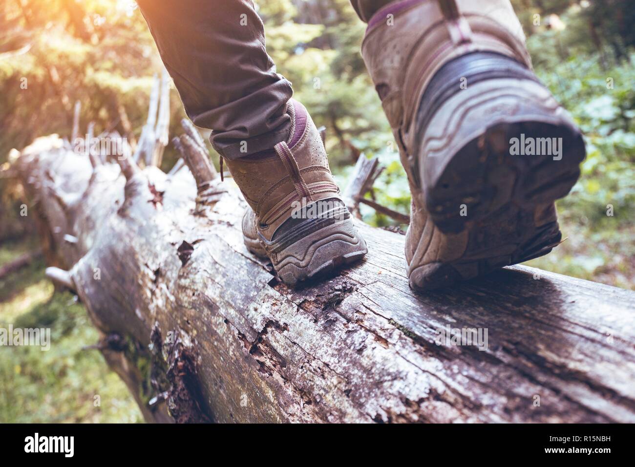 hiking boots close-up. girl tourist steps on a log Stock Photo - Alamy