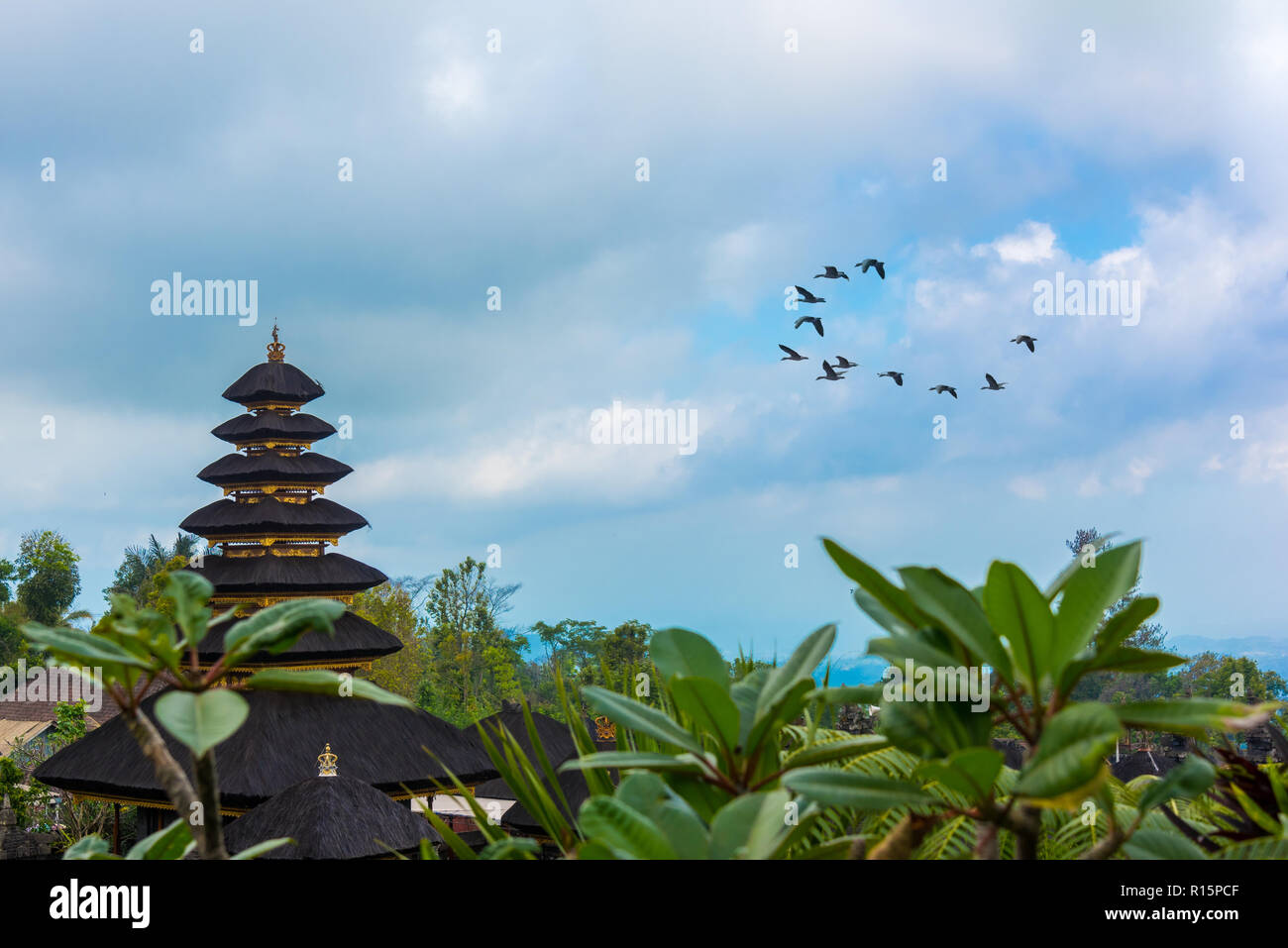 Birds bali hi-res stock photography and images - Alamy