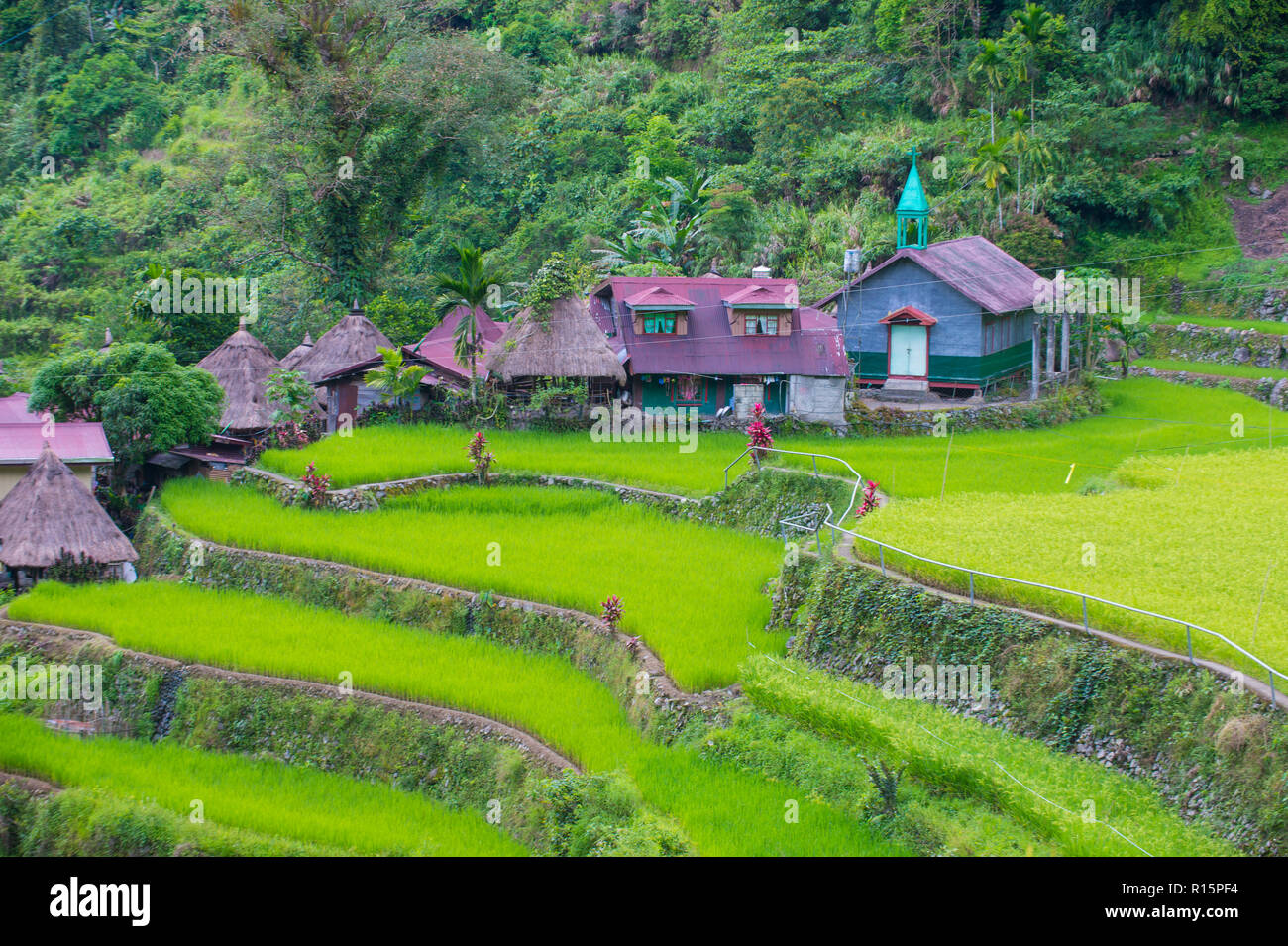View of rice terraces fields in Banaue, Philippines. The Banaue rice ...