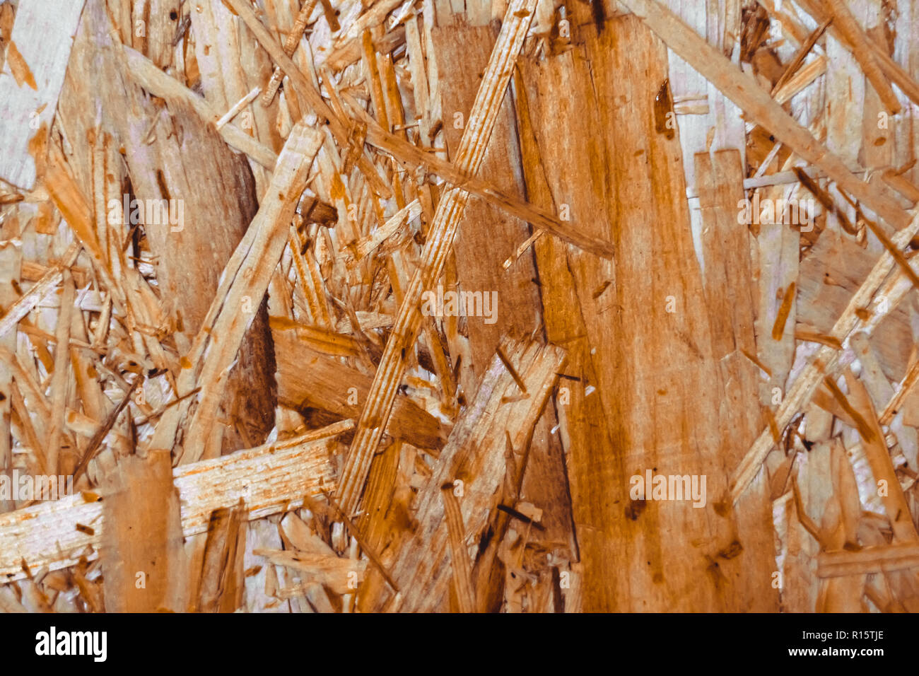 close up pressed wooden panel background, seamless texture of oriented ...