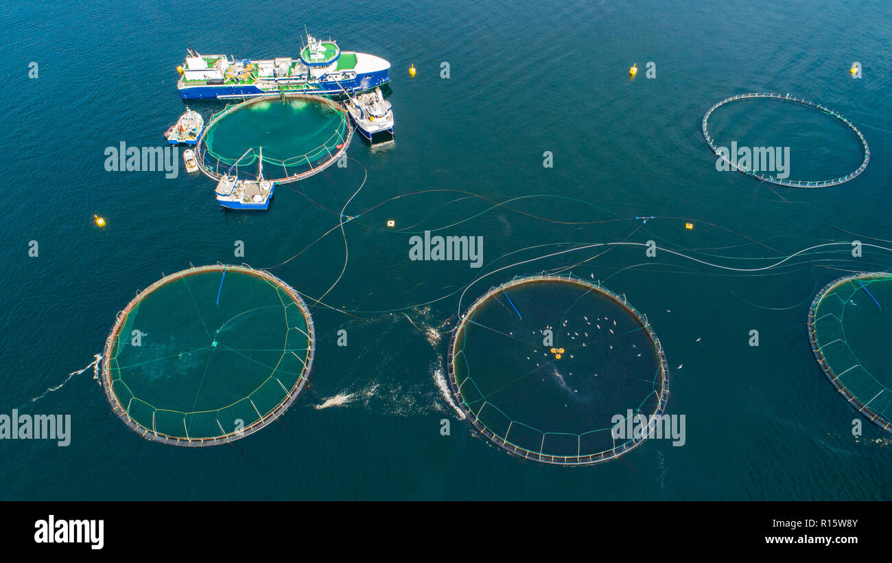 Salmon fish farm in fjord. Norway, Bergen Stock Photo - Alamy