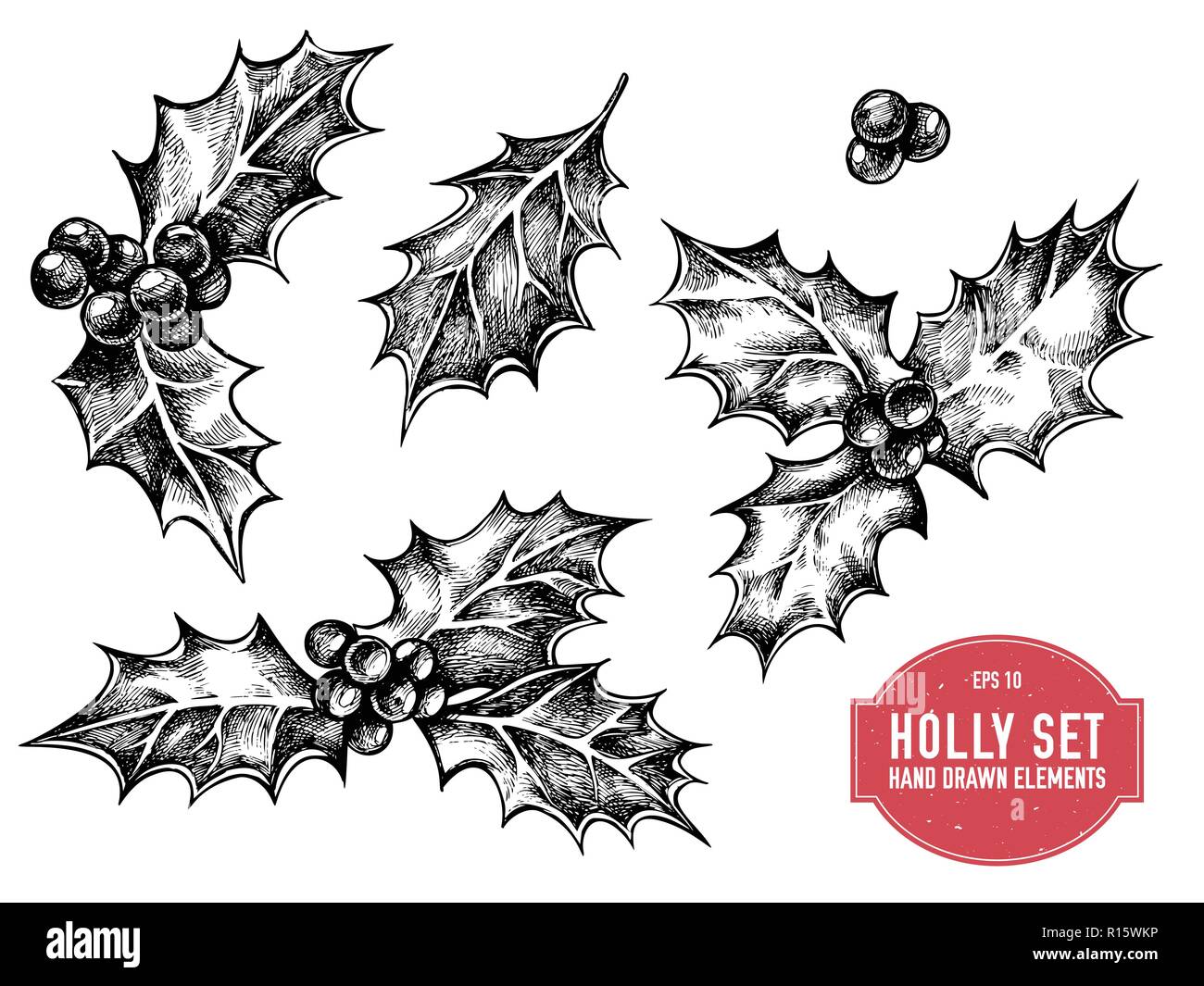 Holly Graphic Stock Photos & Holly Graphic Stock Images - Alamy