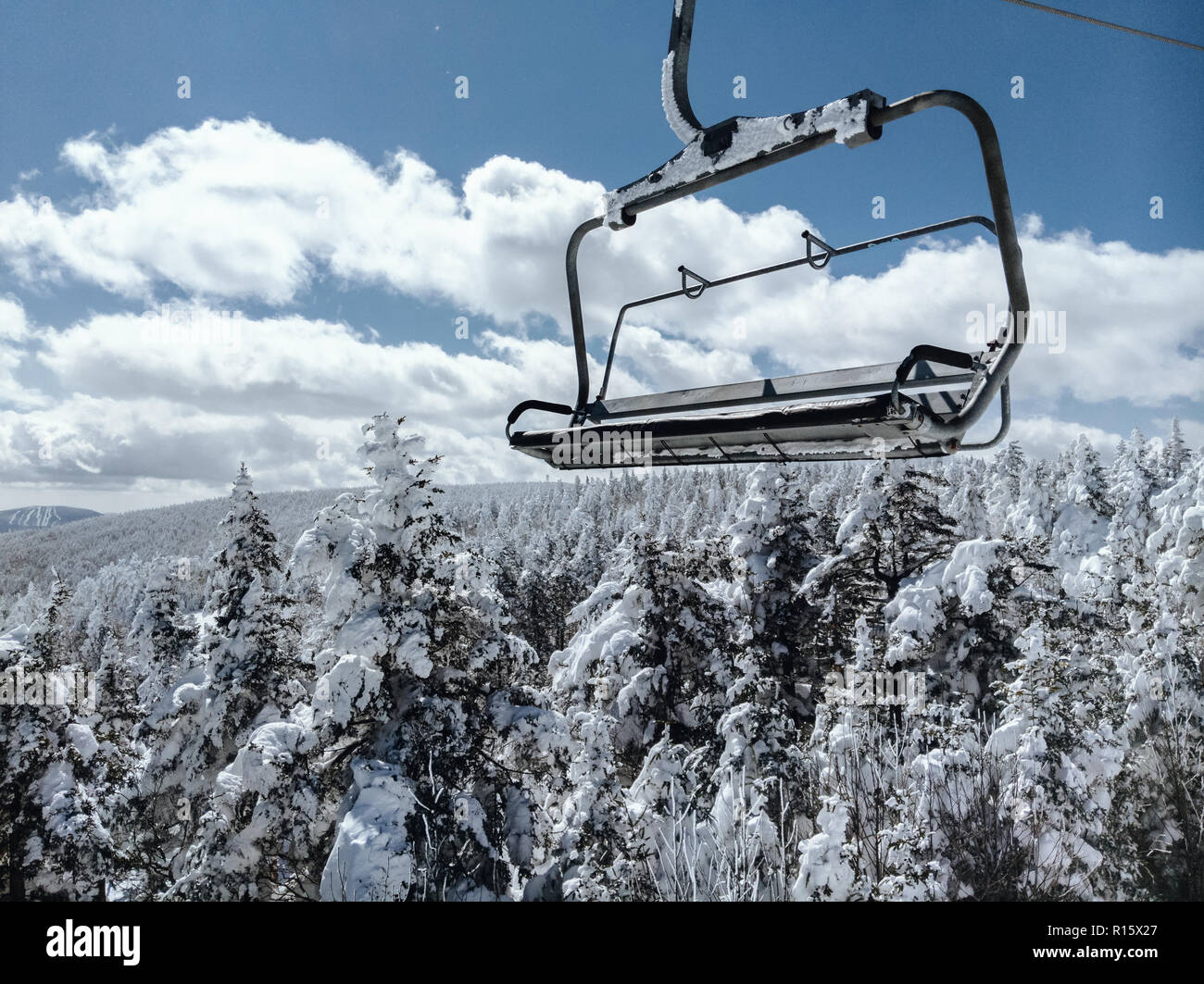 Fresh snow covers alpine trees Stock Photo - Alamy