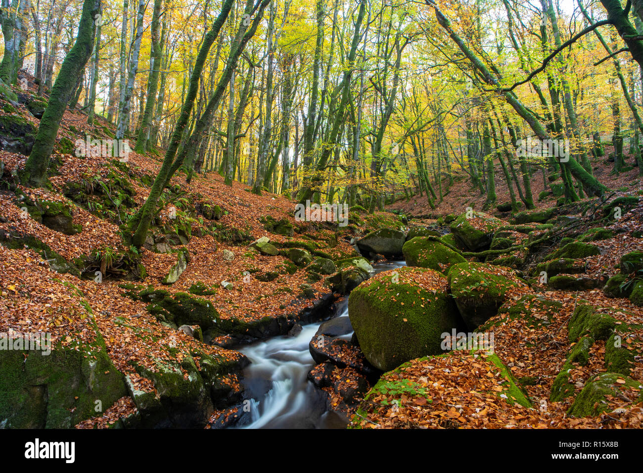 Irish landscapes hi-res stock photography and images - Alamy