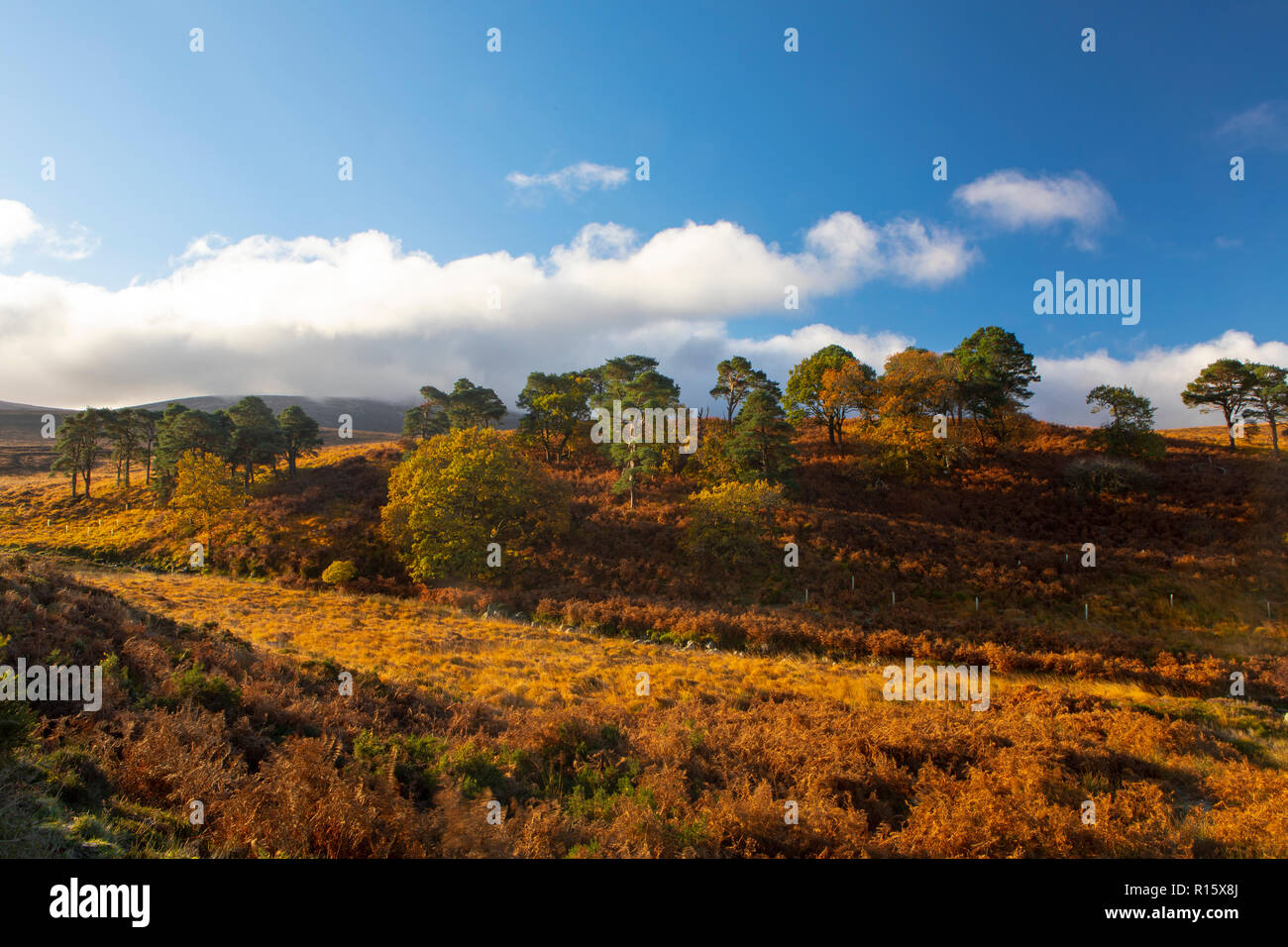 Irish landscapes hi-res stock photography and images - Alamy