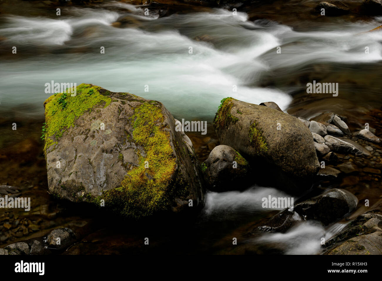 The Sol Duc River above the Falls, Olympic National Park, (Sol Duc unit ...