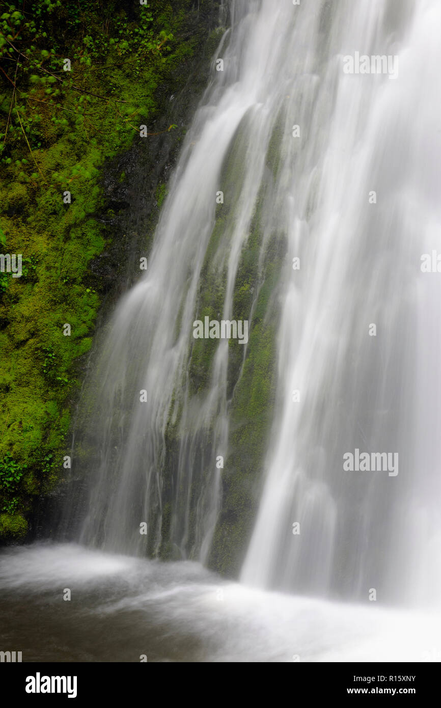 Madison Falls, Olympic National Park, Elwha Unit, Washington, USA Stock ...