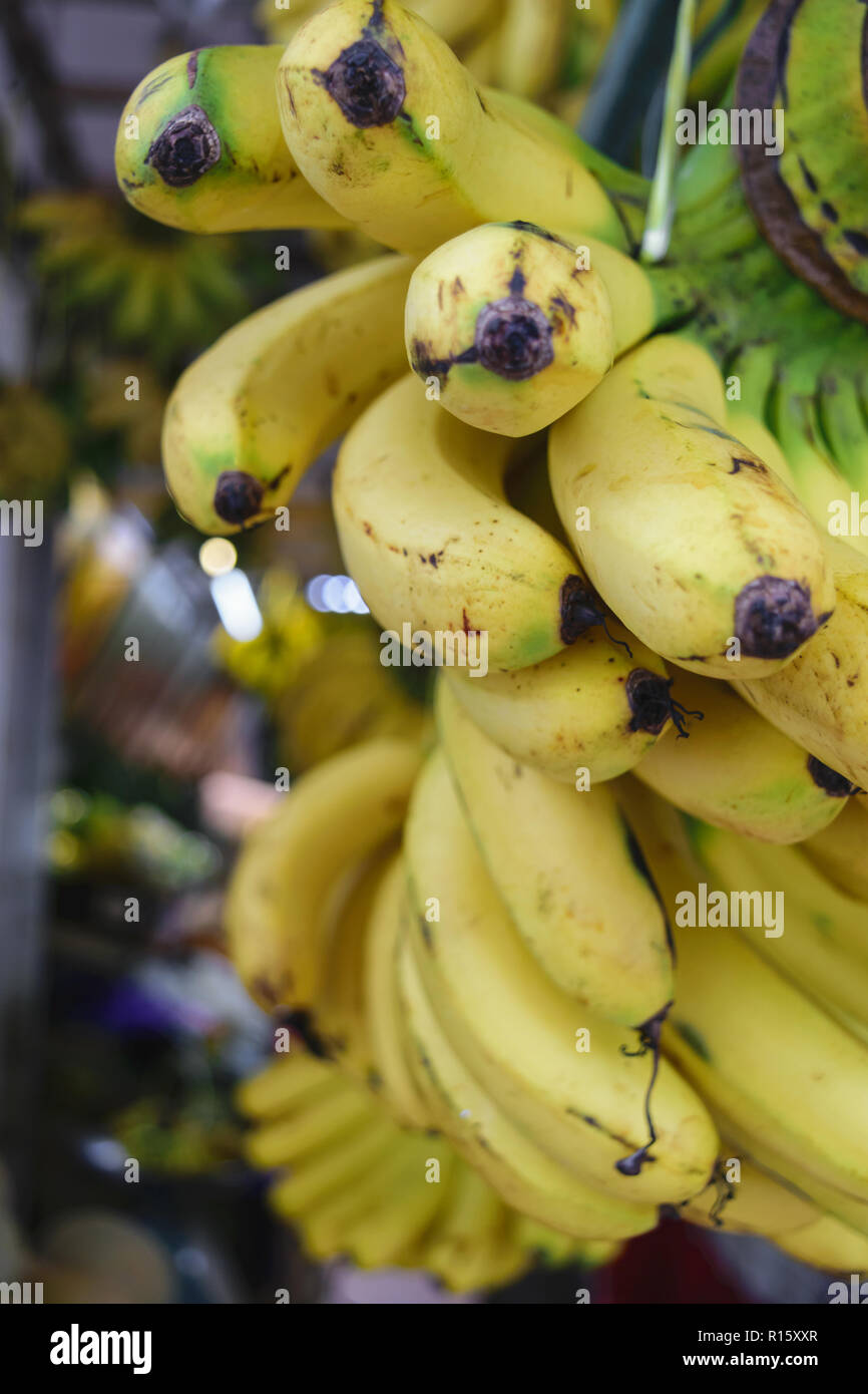 A lot of green bananas hi-res stock photography and images - Alamy