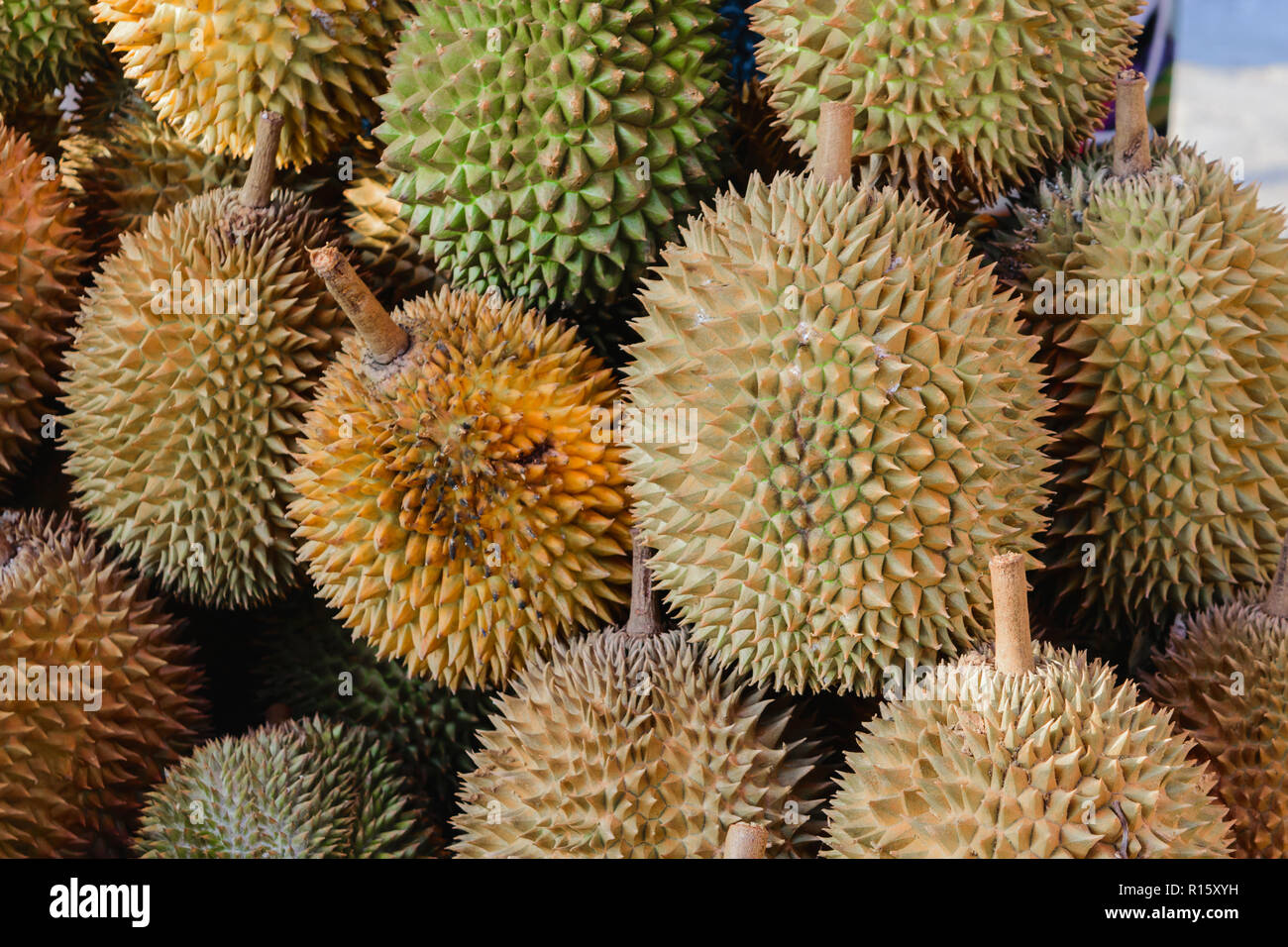 Yellow Spiky Fruit