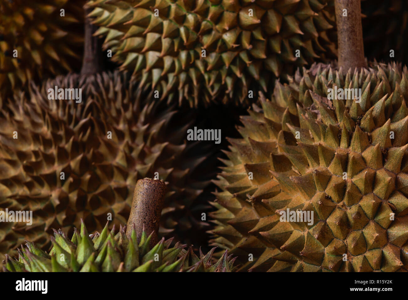 Background surface of spiky durian fruits Stock Photo - Alamy