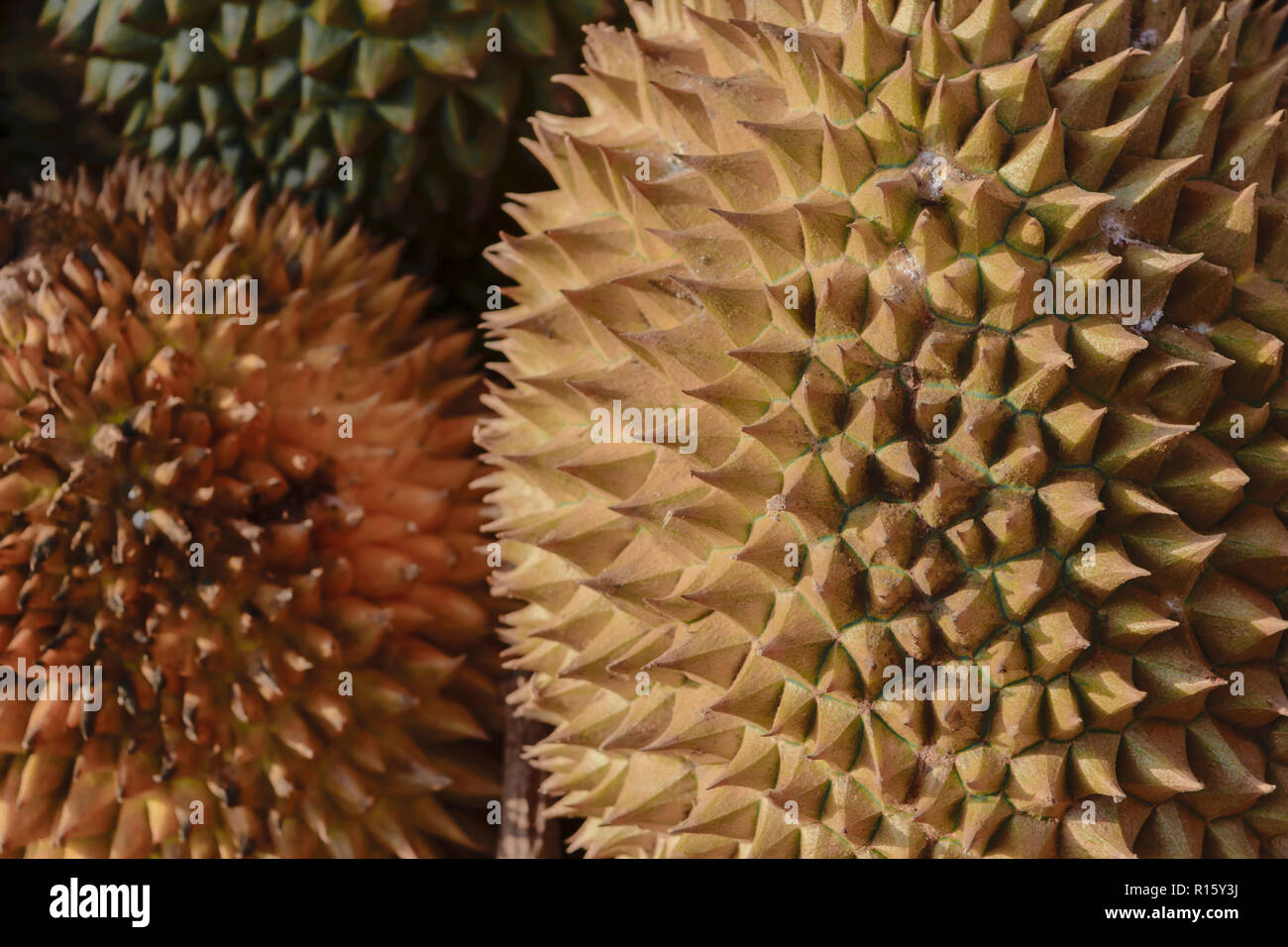 Background surface of spiky durian fruits Stock Photo - Alamy