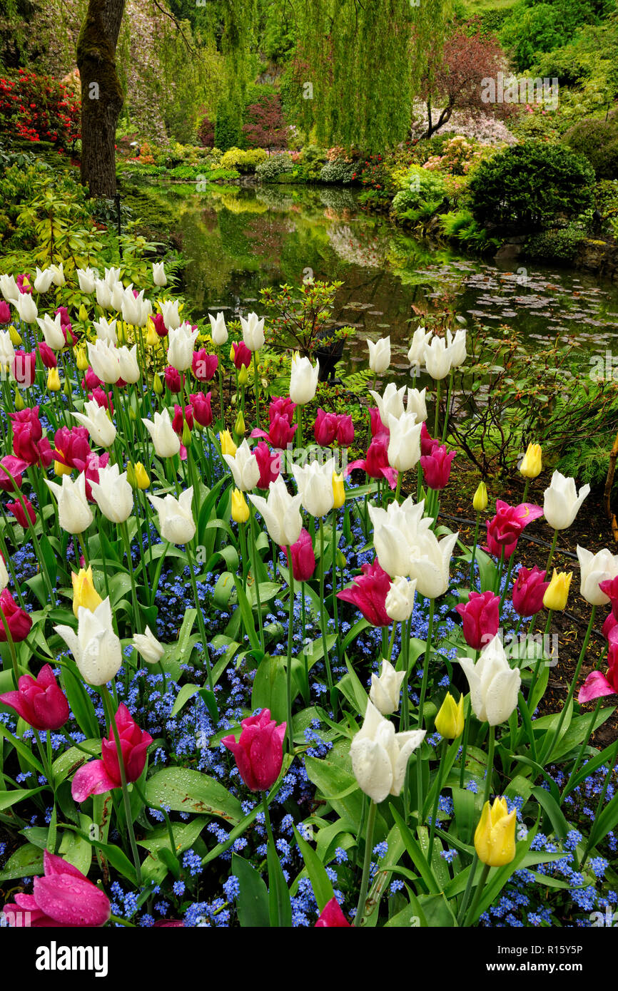 Butchart Gardens- Floral displays near Quarry Lake in the Sunken Garden ...