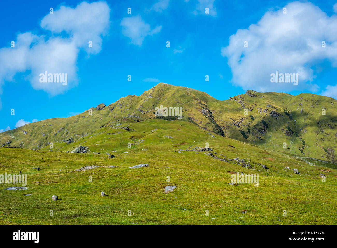 Landscape of Khaliya Top Trek in Munsyari, Uttrakhand, India / Trekking ...