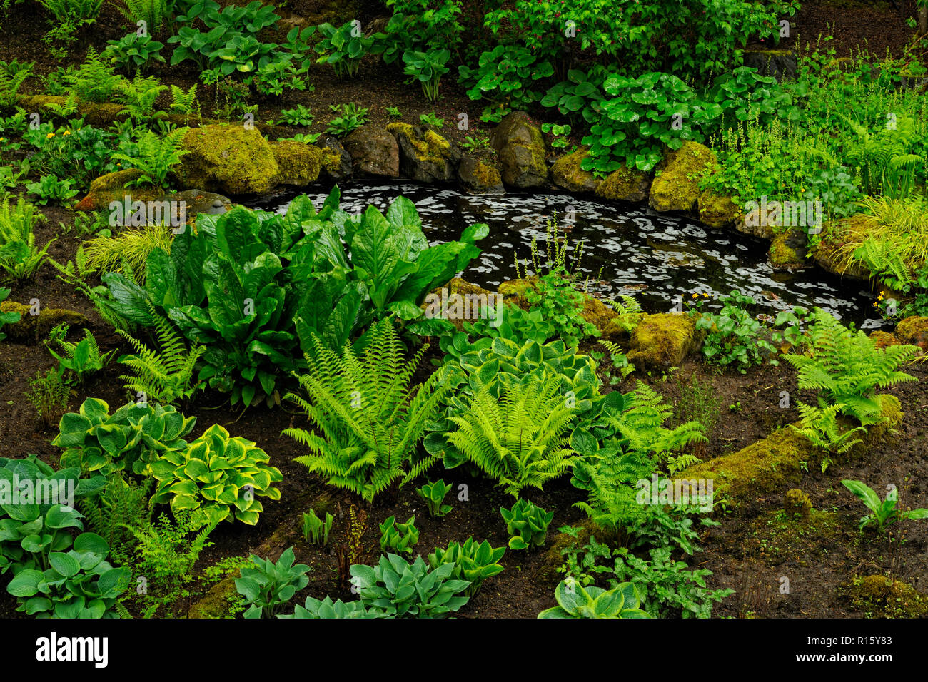 Butchart Gardens- Bog Garden, Victoria, BC, Canada Stock Photo - Alamy
