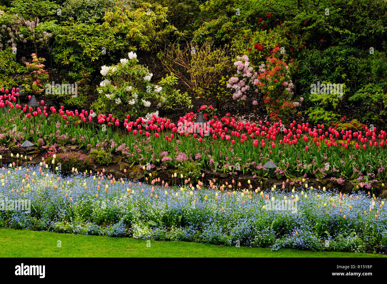 Butchart Gardens- Butchart Gardens- Floral displays in the Sunken ...