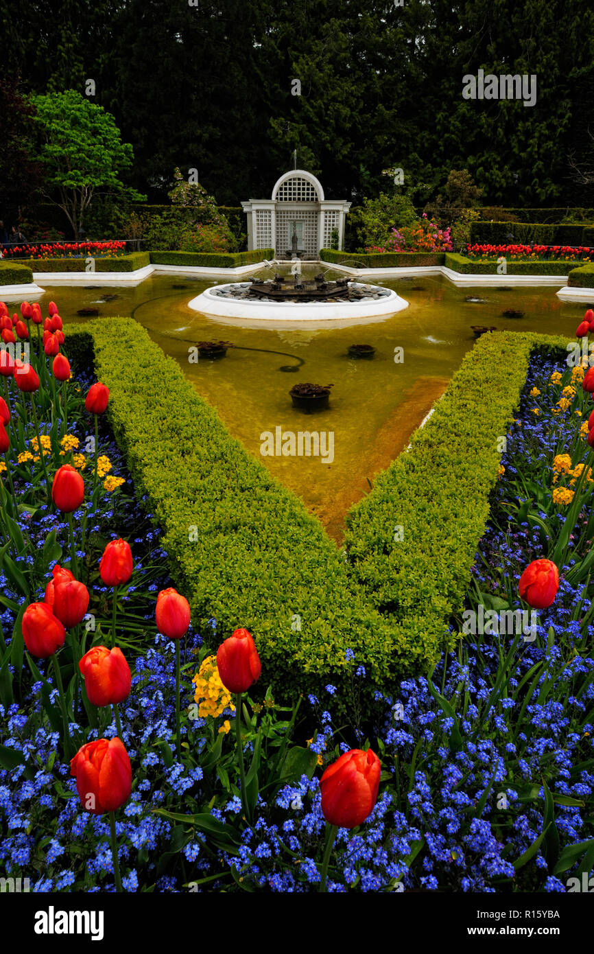 Butchart Gardens- Star Pond with tulips and forget-me-nots, Victoria ...