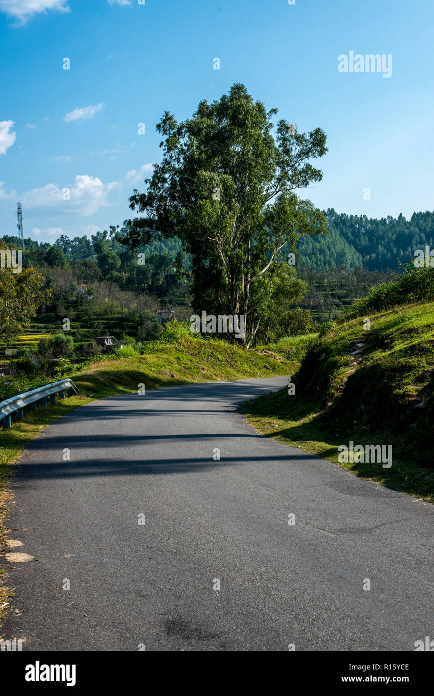 Empty Road, Uttrakhand, India Stock Photo - Alamy