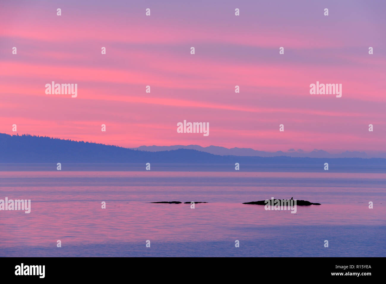 Haro strait victoria canada hi-res stock photography and images - Alamy