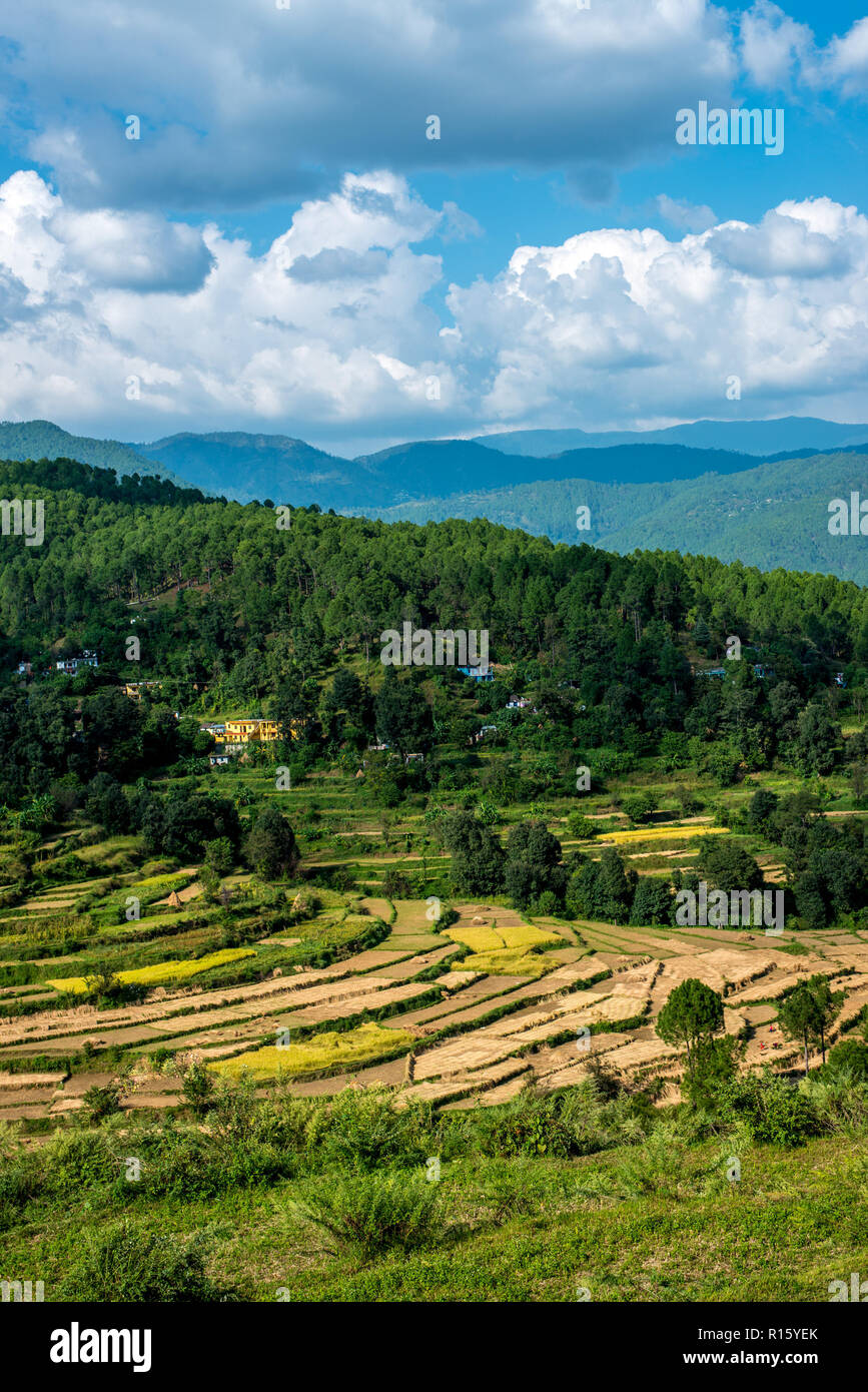 Indus Valley View Agriculture Fields High Resolution Stock Photography ...