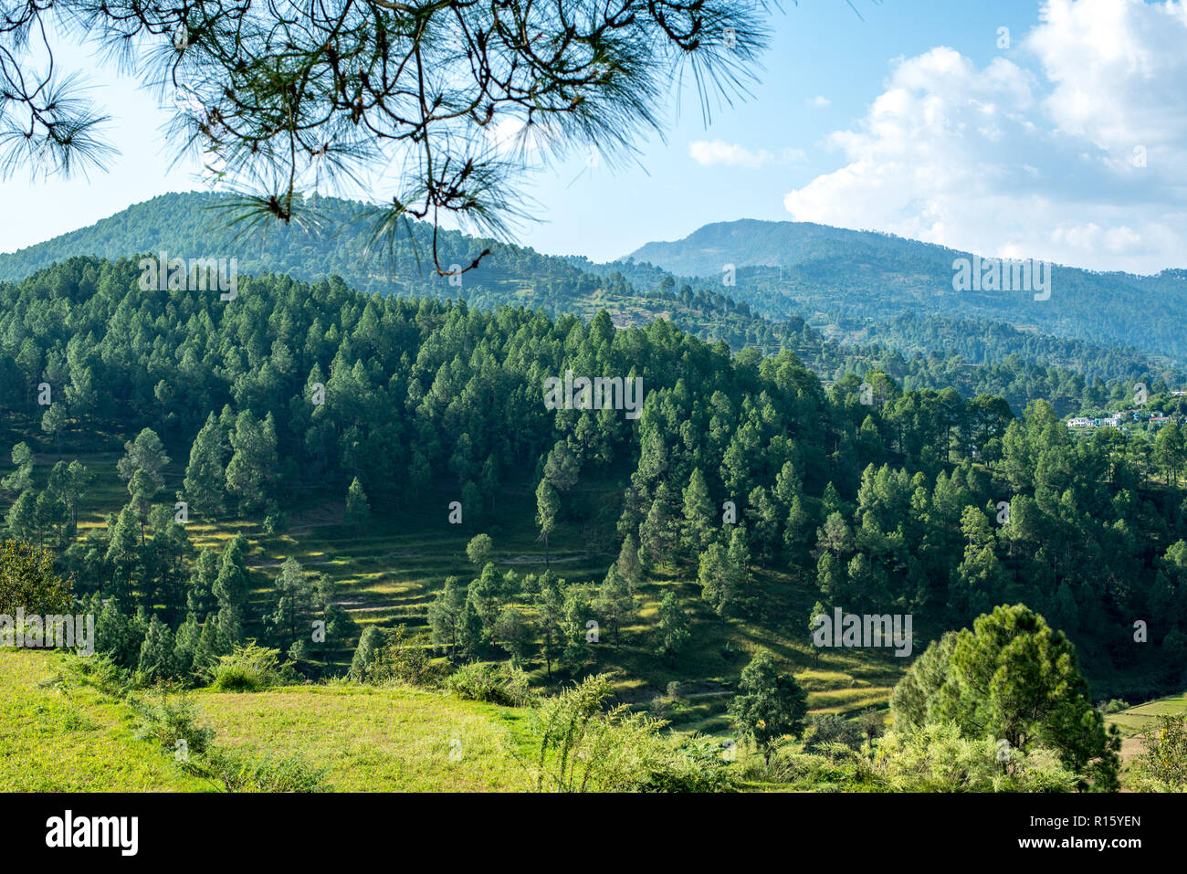 Stepping Fields in Bageswar - Himalaya Stock Photo - Alamy