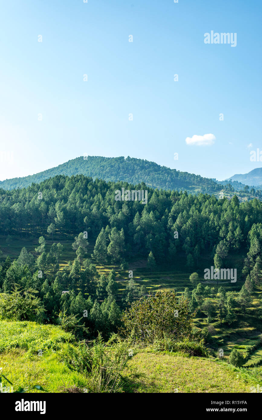 Stepping Fields in Bageswar - Himalaya Stock Photo - Alamy