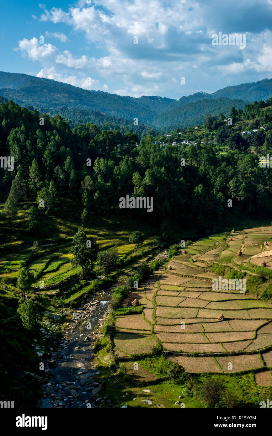 Stepping Fields in Bageswar - Himalaya Stock Photo - Alamy