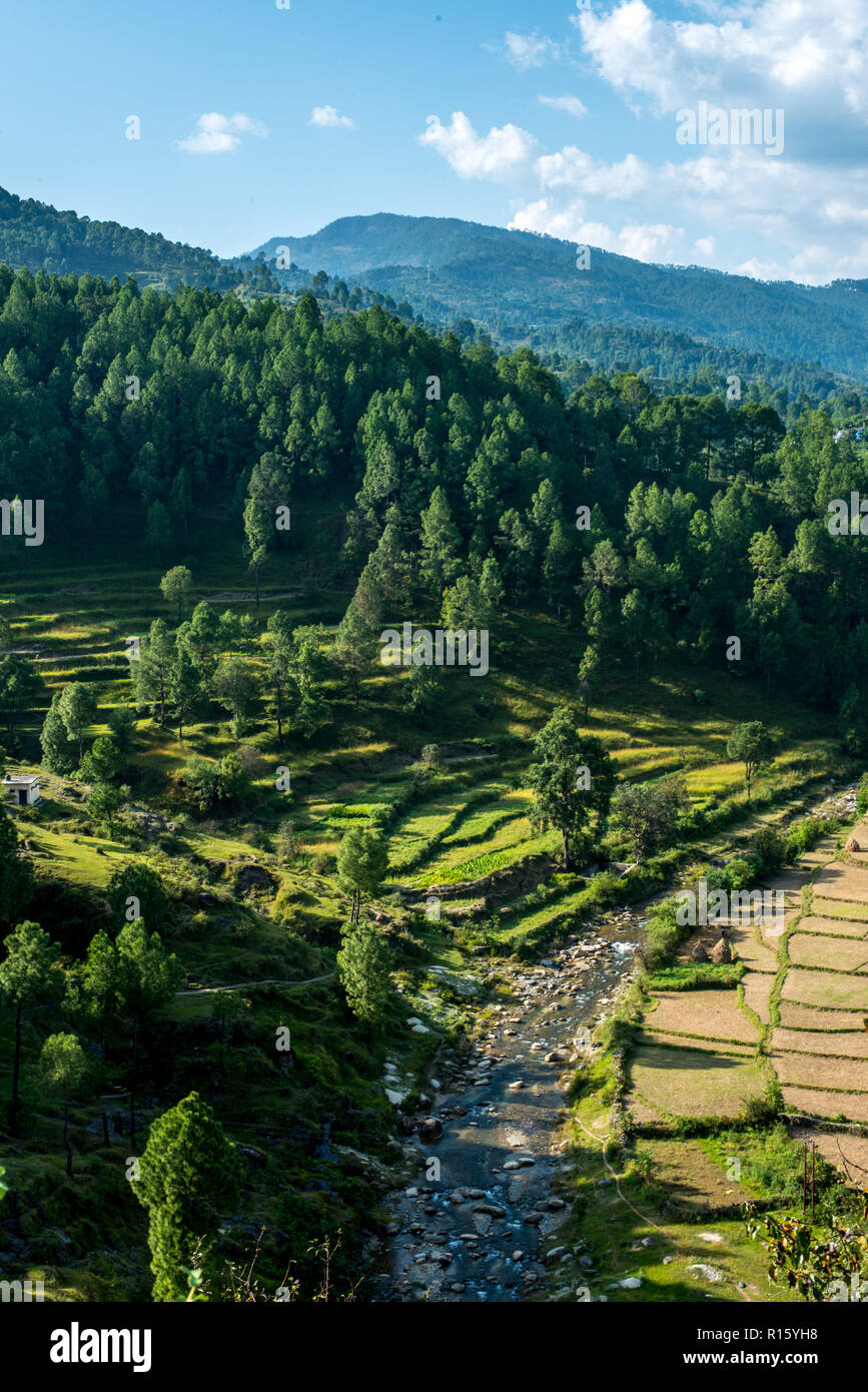 Stepping Fields in Bageswar - Himalaya Stock Photo - Alamy