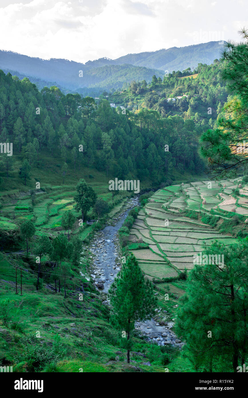 Stepping Fields in Uttrakhand - Himalaya Stock Photo - Alamy