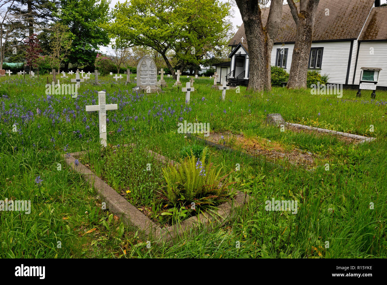Metchosin hi-res stock photography and images - Alamy