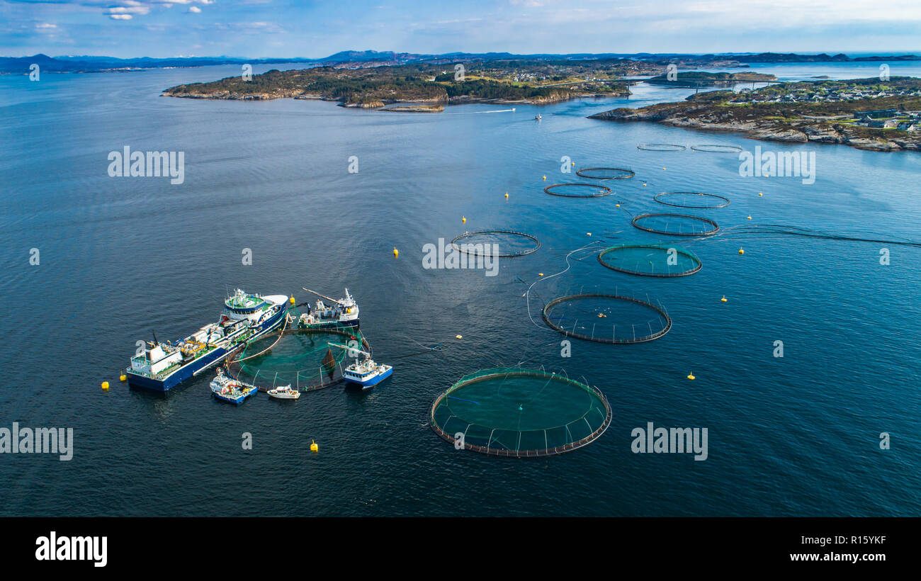 Salmon farming in norway hi-res stock photography and images - Alamy
