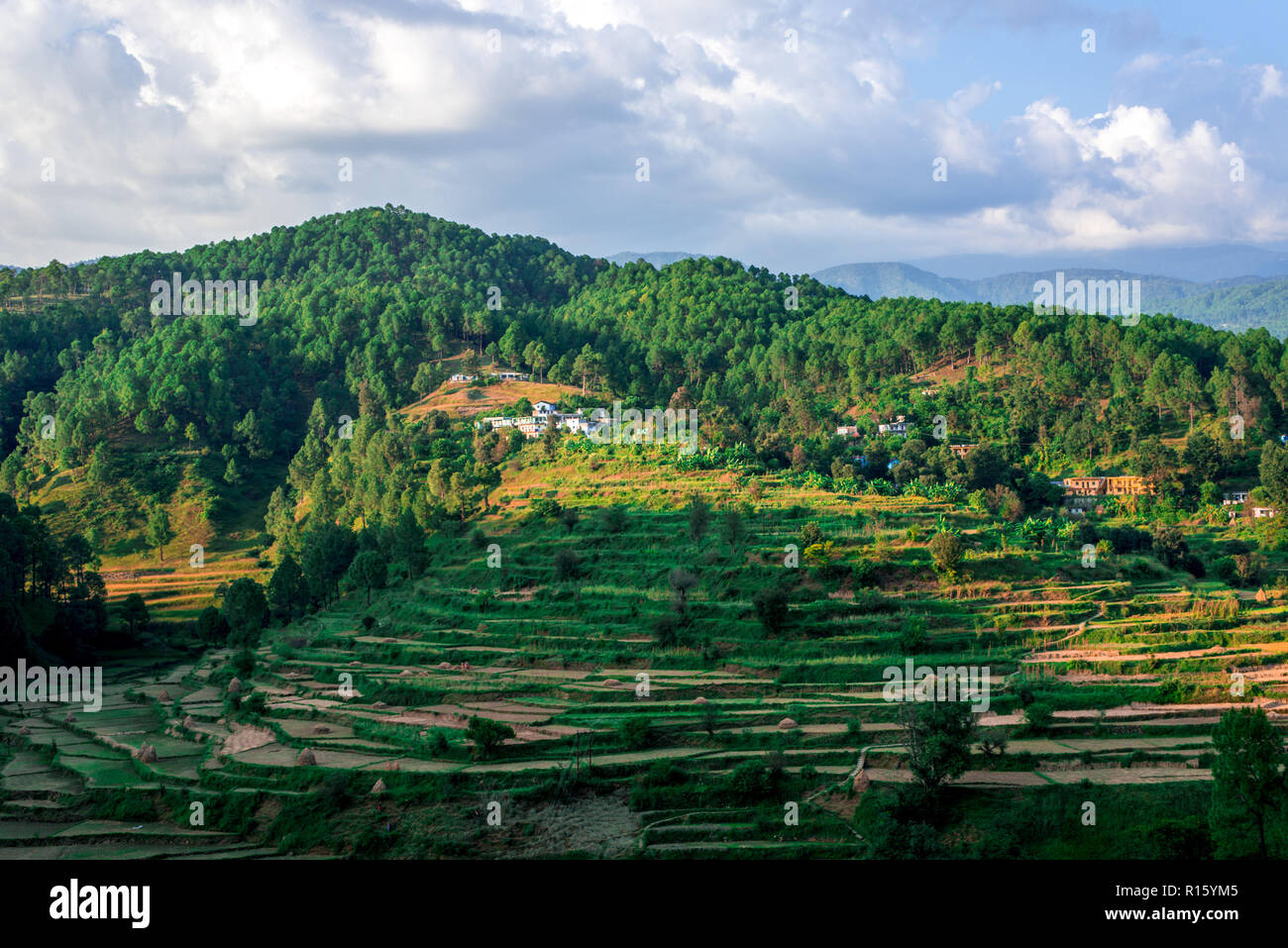 Stepping Fields in Uttrakhand - Himalaya Stock Photo - Alamy