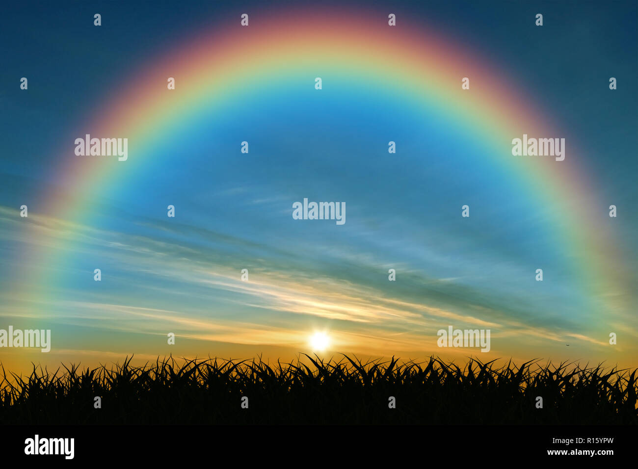 The rainbow at sunset in the bush isolated, Spain Stock Photo - Alamy