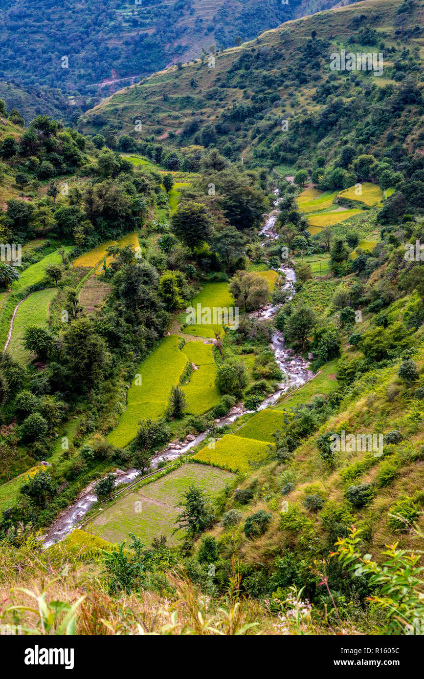 Waterfall in Chakrata, Jaunsar-Bawar, Uttrakhand, India Stock Photo - Alamy